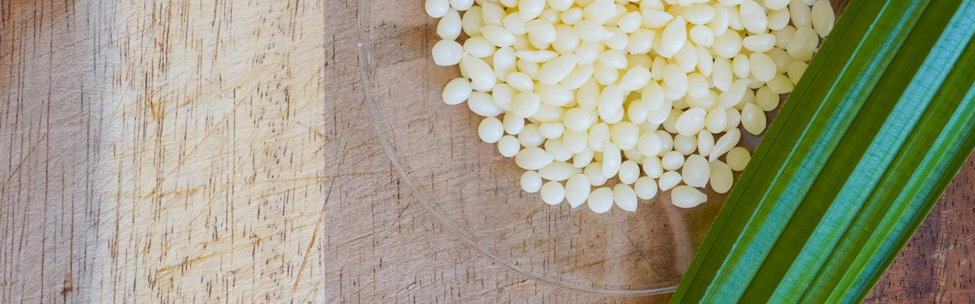 Plant-Based Waxes: Eco Alternatives for Industry - Hywax